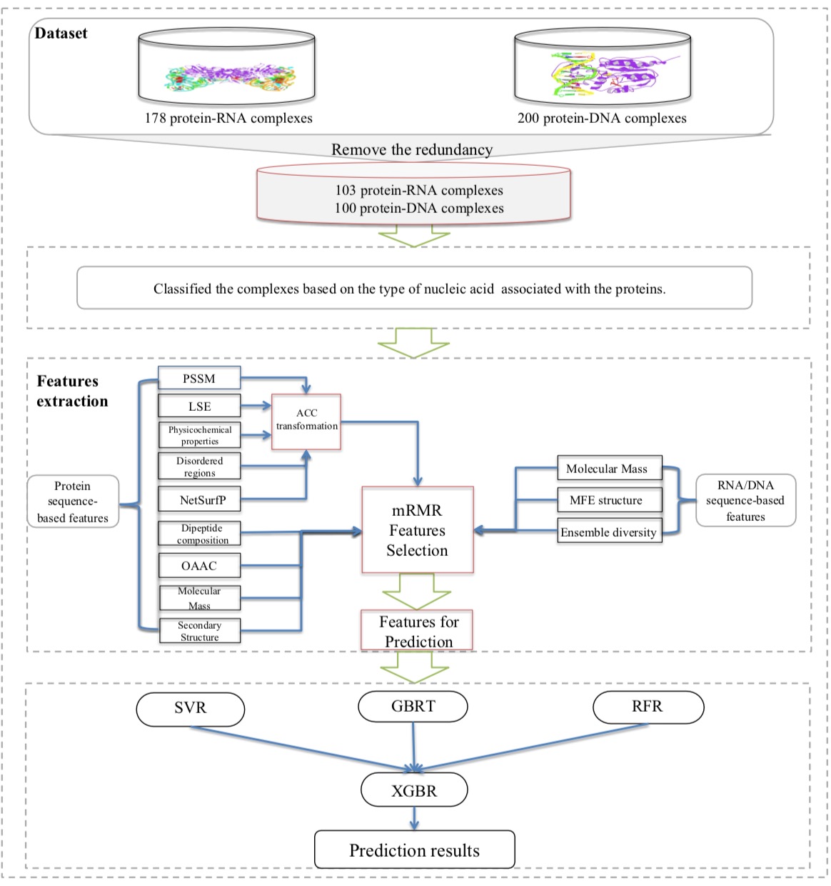 PNAB: Prediction of protein-nucleic acid binding affinity